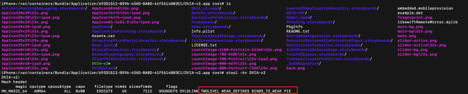 iOS Pentesting 101