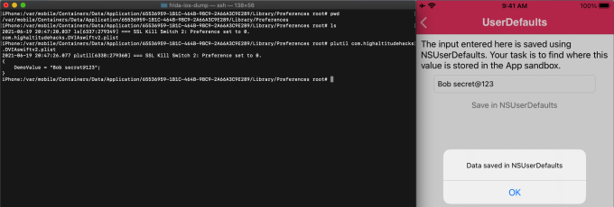 iOS Pentesting 101
