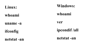 Introduction to Command Injection Vulnerability