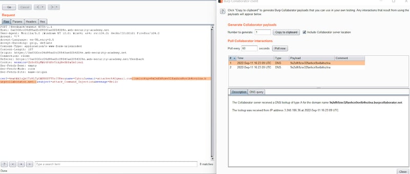 Introduction to Command Injection Vulnerability