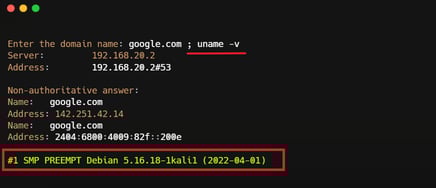 Introduction to Command Injection Vulnerability