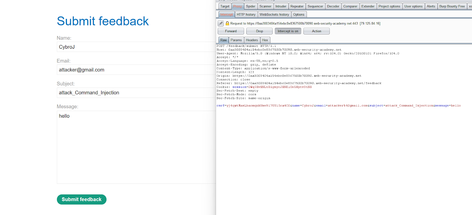 Introduction to Command Injection Vulnerability