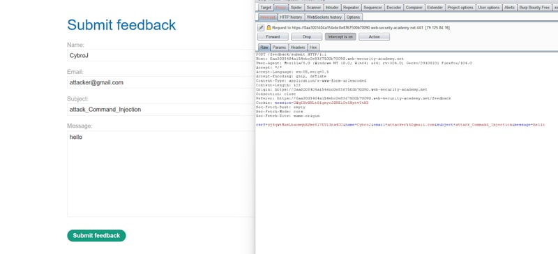 Introduction to Command Injection Vulnerability