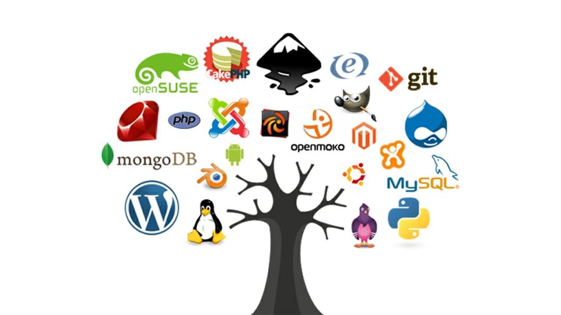 Open-Source Software Overview: Benefits, Risks, & Best Practices