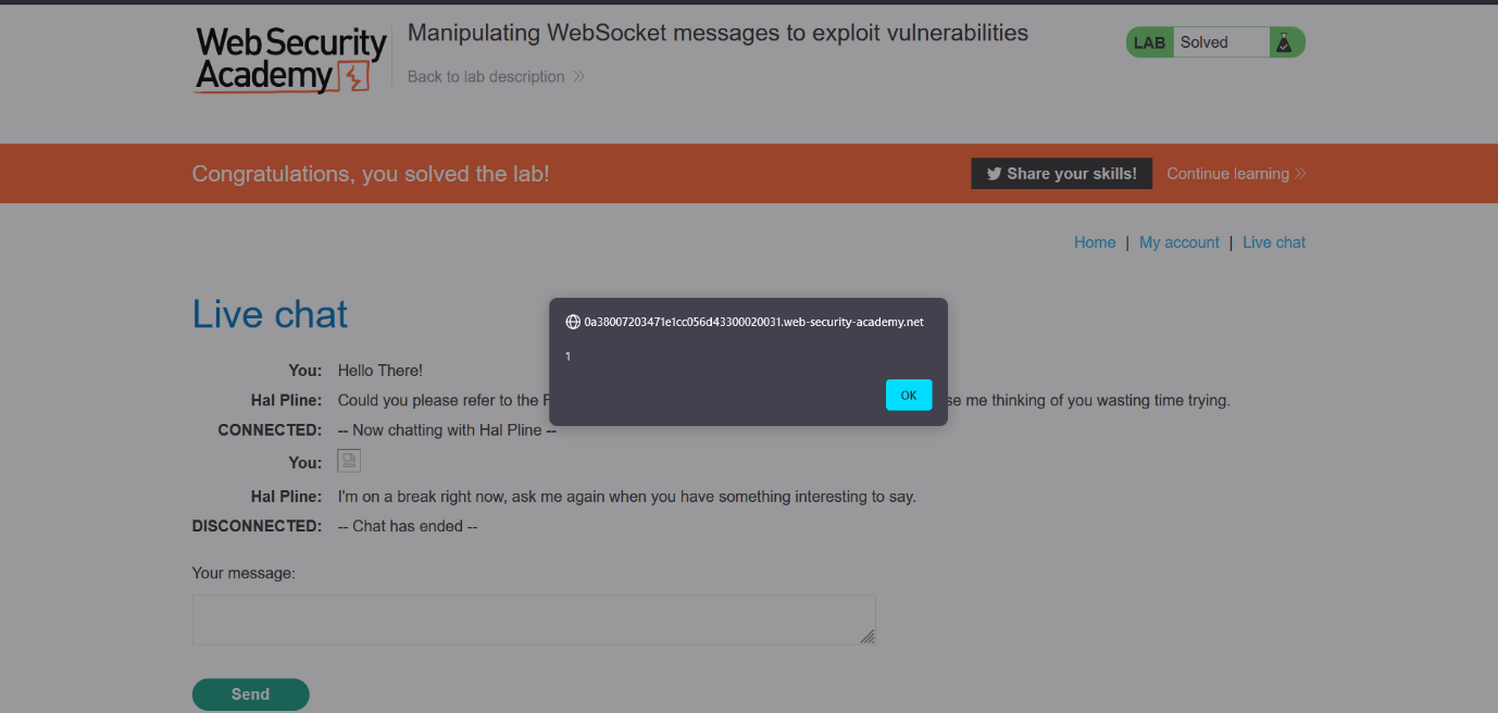 Web Socket Vulnerabilites