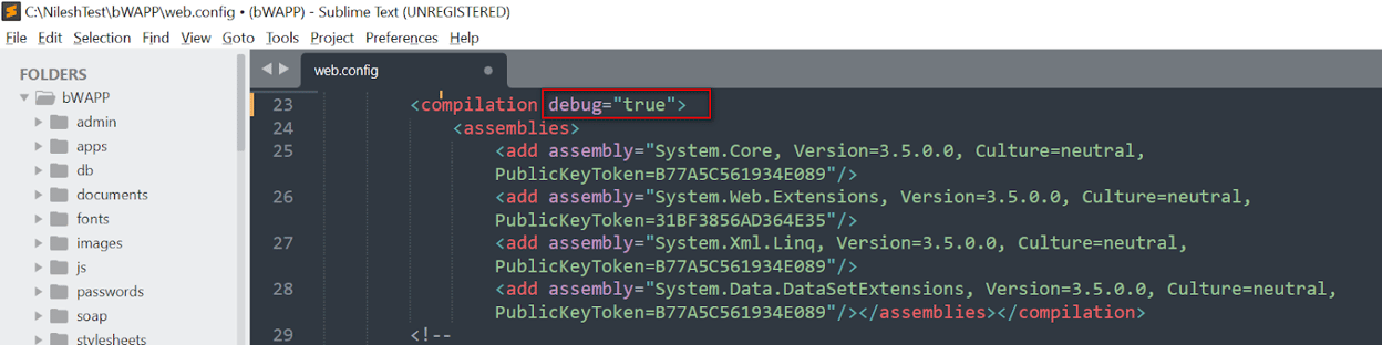 A Pentester's Guide to Source Code Review