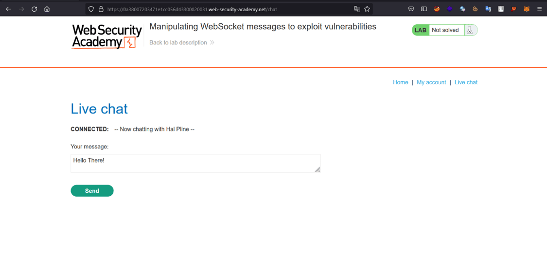 Web Socket Vulnerabilites