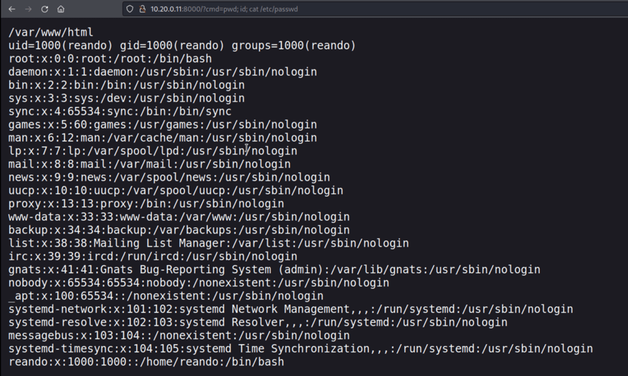 Common Vulnerabilities in NodeJS Applications