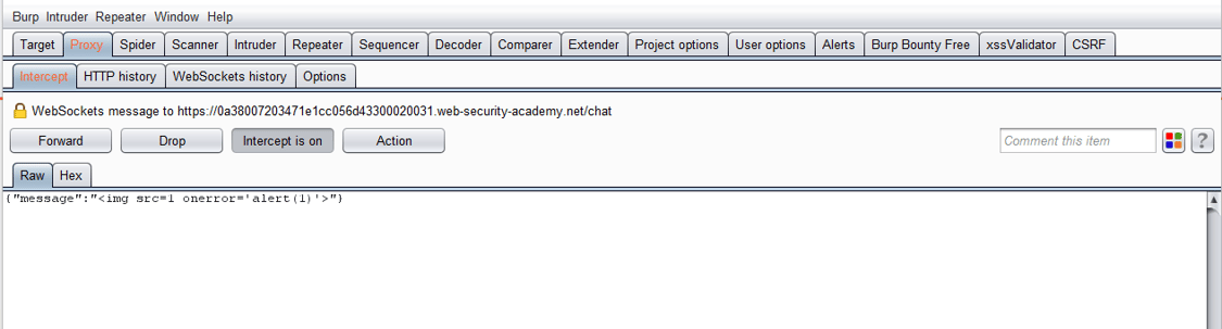 Web Socket Vulnerabilites